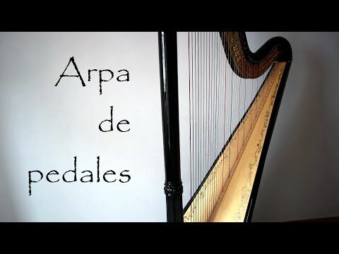 LOS TIPOS DE ARPA: PLURALIDAD MUSICAL - NEOMUSICA