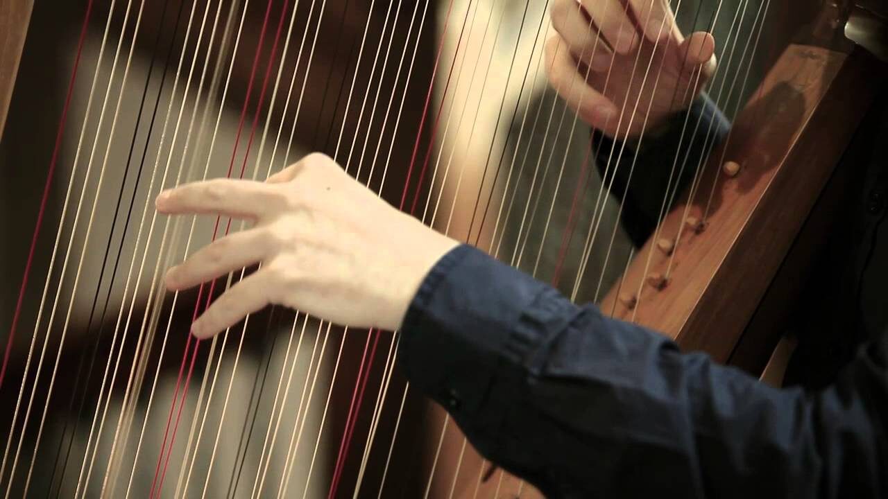 LOS TIPOS DE ARPA: PLURALIDAD MUSICAL - NEOMUSICA